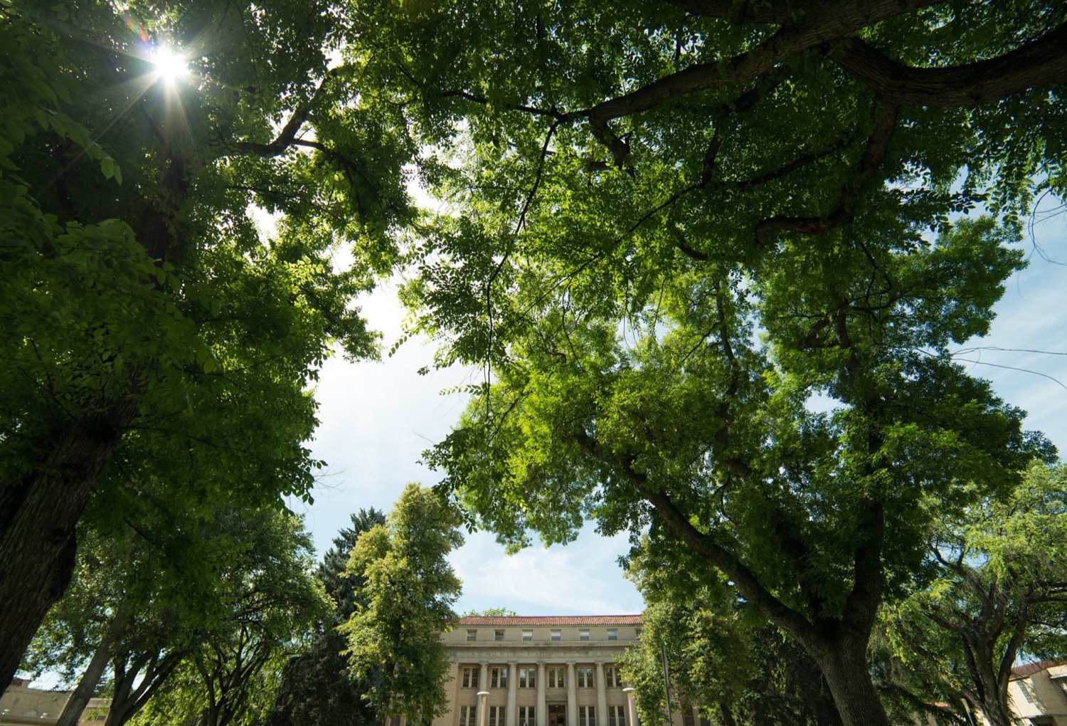 Colorado State University | CustomViewbook Wizard